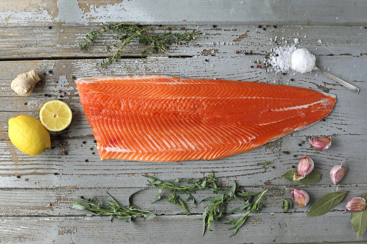 ChalkStream®️ Fine English Rainbow Trout